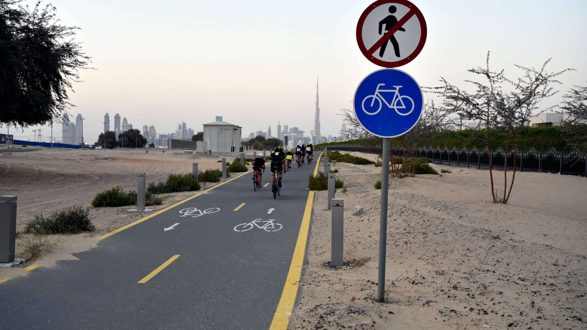 Discover the Best Cycling Routes in Dubai [2025]