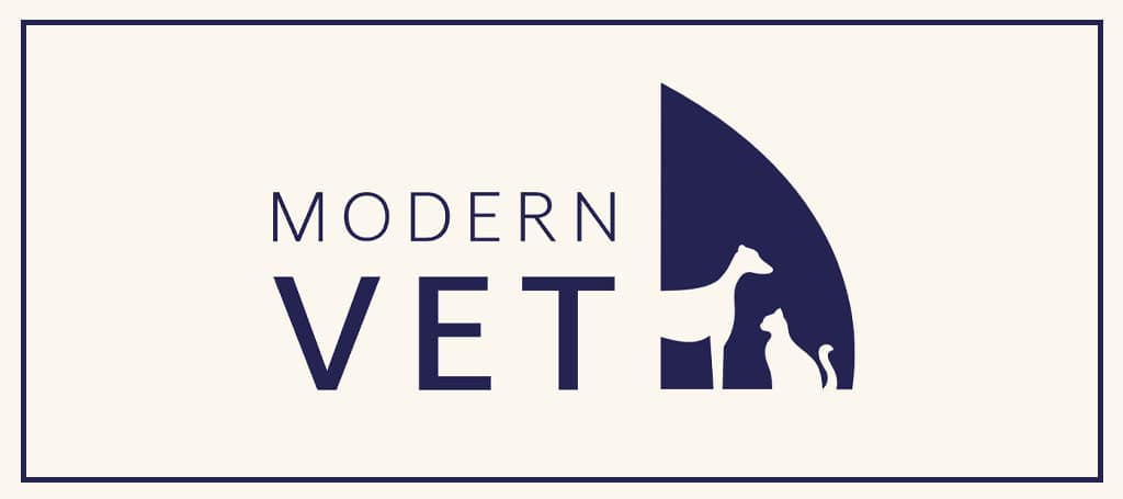 The 5 Best Vet Clinics in Dubai [2026 ]