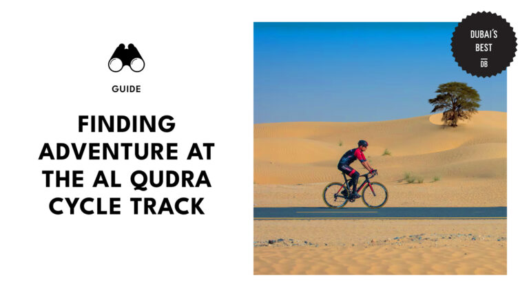 Everything You Need to Know About Al Qudra Cycle Track